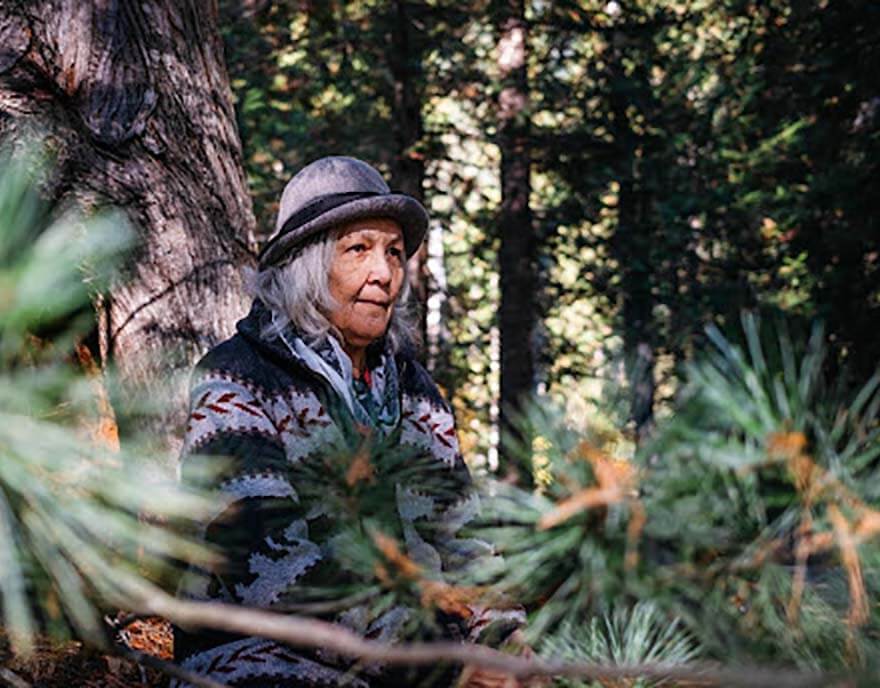 Beyond Extinction: Sinixt Resurgence - Rungh